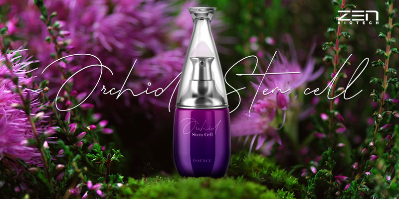 สูตรบำรุงผิวด้วยสเต็มเซลล์สูงสุด Orchid Stem cell Essence – โรงงานรับ ...